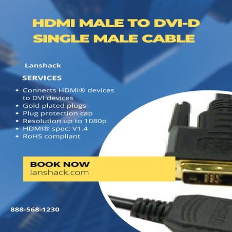 HDMI MALE TO DVI-D SINGLE MALE CABLE | PDF