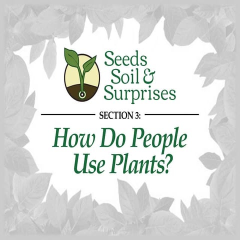 How Do People Use Plants? | PDF