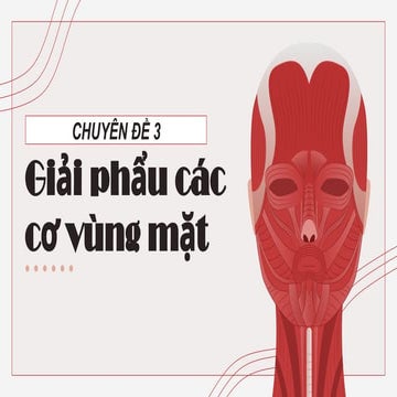 slide head and neck muscel for medical students | PPTX