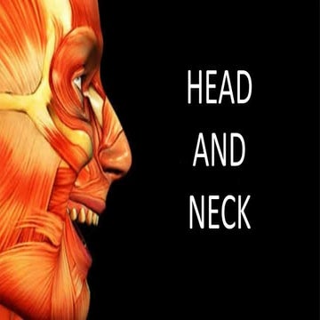 head-and-neck for nursing students (1).pptx