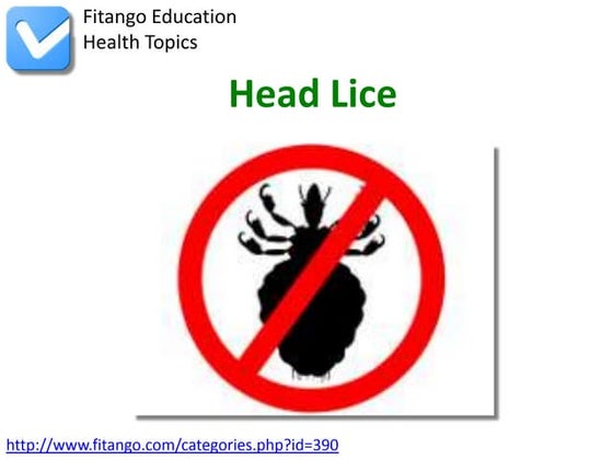 Lice | PPTX | Infectious Diseases | Diseases and Conditions