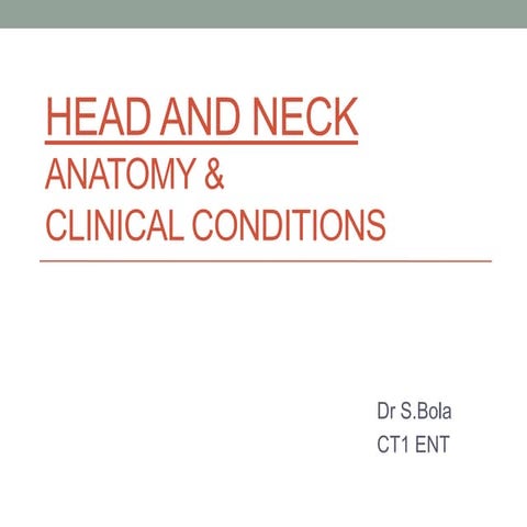 Buccal space anatomy | PPTX