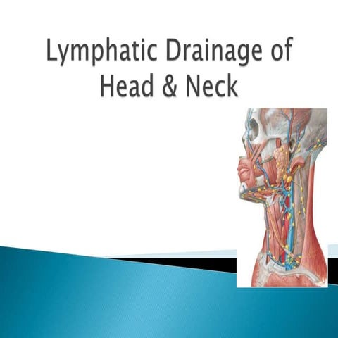 Head and neck lymphatic drainage. | PPT