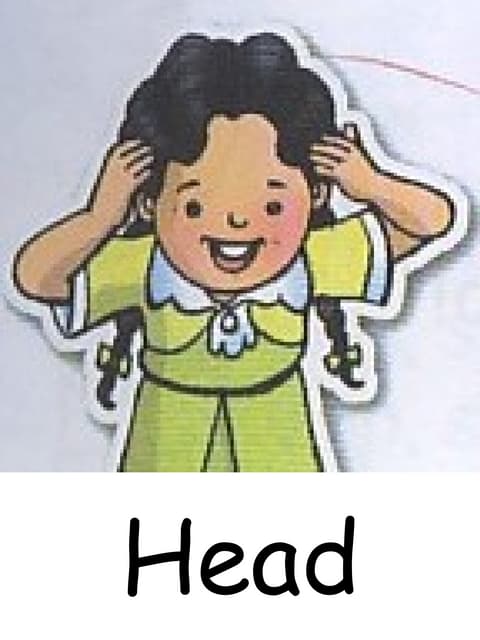 My body and head | PPTX
