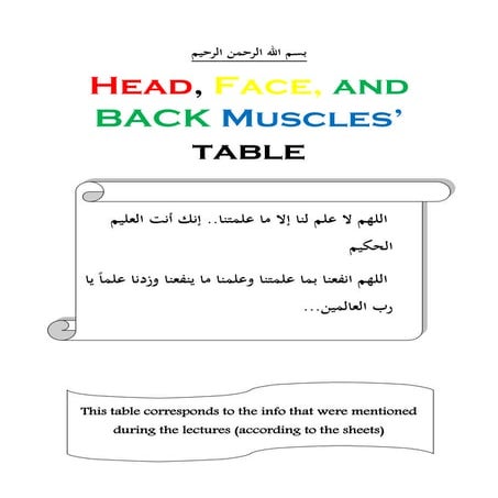 Head, face, and back muscles’ table | PDF