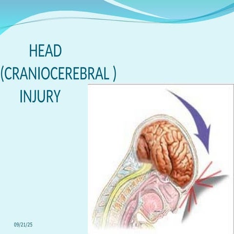 lucid interval and its importance in trauma and mental health | PPTX