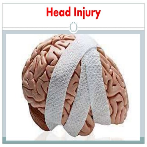 Traumatic Brain Injuries: Pathophysiology, Treatment and Prevention