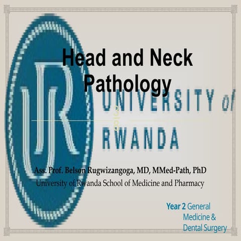 Head & Neck Pathology_Assoc. Prof. Belson (2).pptx