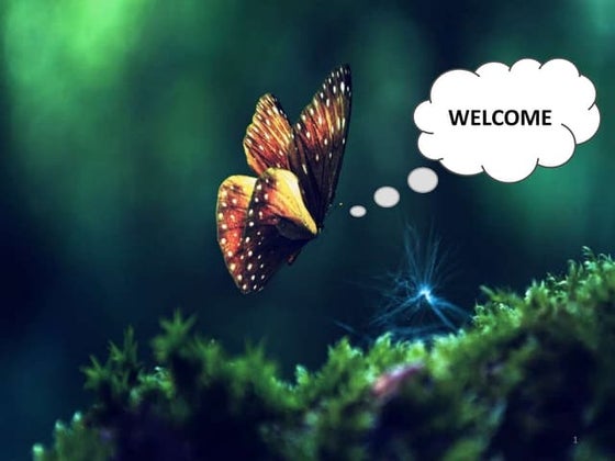 Insect head:- it’s origin, structure, function and modification in ...