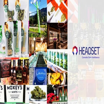 CY SCOTT - CEO, HEADSET.IO at REVEL: CANNABIS + THE CONSUMER | PPTX