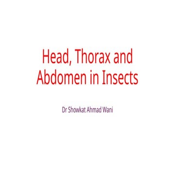 Structure of Head, Thorax and Abdomen in insects | PPTX