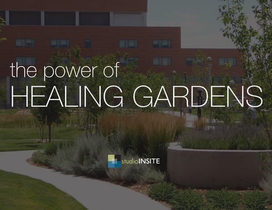 Healing by Design: Healing Gardens and Therapeutic Landscapes | PDF ...
