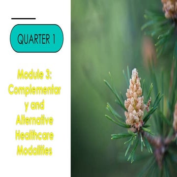 HEALTH - 1st Quarter Module 3: Complementary and Alternative Healthcare ...