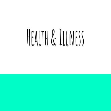 Transportation English Vocabulary and Examples | PDF