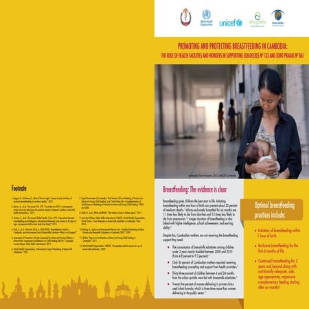 BMS Brief SUN Civil Society Cambodia - Health en final | PDF