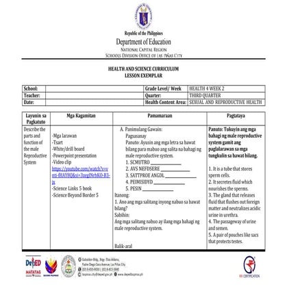 HEALTH WEEK 2 CATCH UP FRIDAY LESSON PLAN | DOCX | Reproductive Health ...