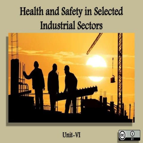 Health and Safety in Selected Industrial Sectors | PPT