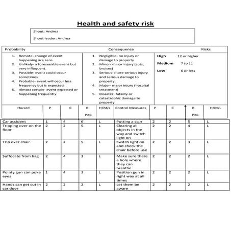 Health and safety risk | PDF