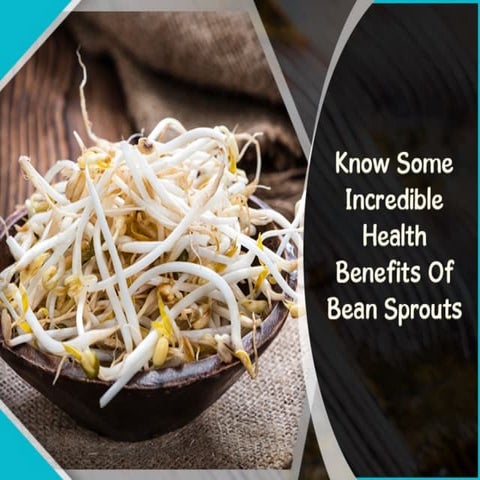 The 18 Incredible Health Benefits of Bean Sprouts | ODP