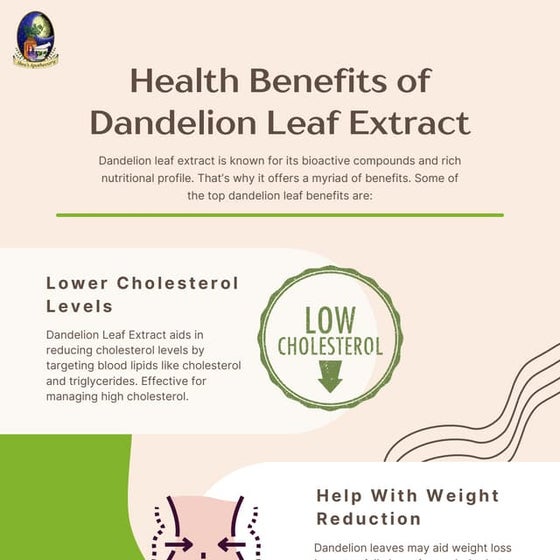 Tulsi Tea Benefits, Side Effects, and Dosage.pdf