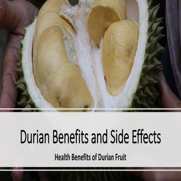 Health Benefits of Durian Fruit - Durian Benefits and Side Effects ...