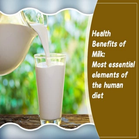 Top 11 Benefits of Drinking Milk Everyday | ODP
