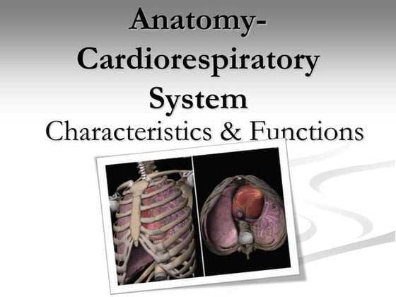 Pulmonary and systemic circulation | PPT