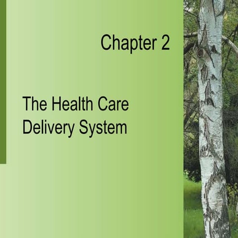 health care and delivery system .ppt