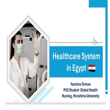 Healthcare system in Egypt (Egyptian healthcare system) | PDF