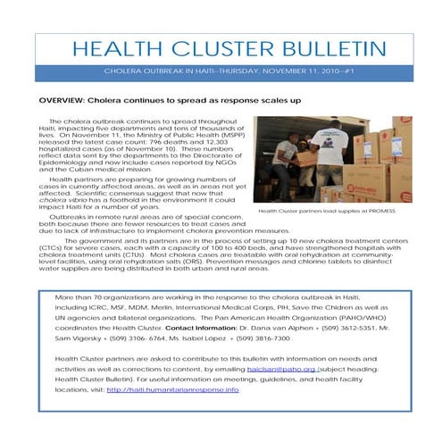 Health Cluster Bulletin 1 - Nov 11/2010 | PDF