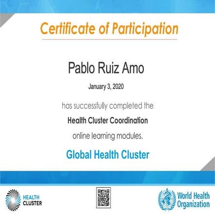 Health Cluster Coordination - WHO - Pablo Ruiz Amo | PPT