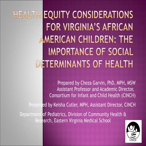 Health Equity Considerations For Virginia's African American Children | PPT