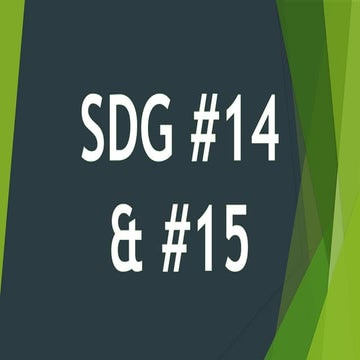 Discussing SDG #14 (Life Below Water) and SDG #15 (Life on Land) | PPTX
