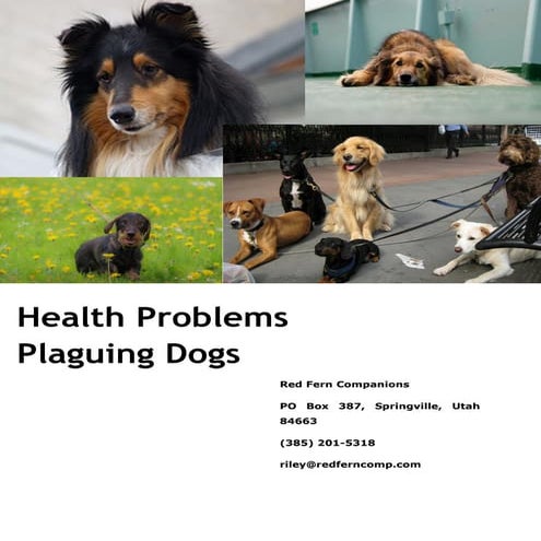 Health Problems Plaguing Dogs | PDF
