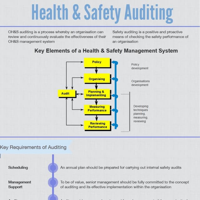 Health safety auditing | PDF