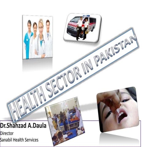 Health Sector & Diseases in Pakistan | PPTX