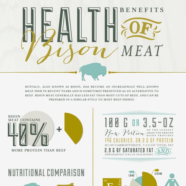 Health Benefits of Bison Meat Infographic - Lemonly | PDF