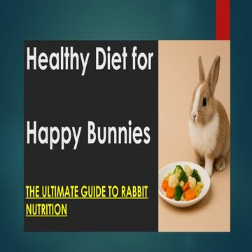 Healthy Eating for Happy Bunnies: A Guide to Rabbit Nutrition | PPTX