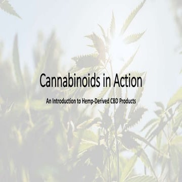 Healthy Hemp Solutions CBD Presentation | PPT