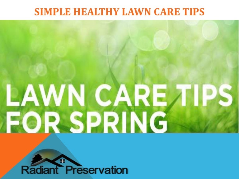 Healthy Lawn Care Tips For Spring healthy-lawn-care-tips-for-spring