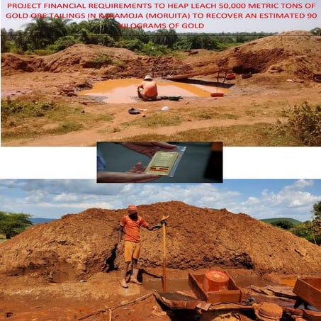 Costs to heap leach gold ore tailings in Karamoja region of Uganda ...