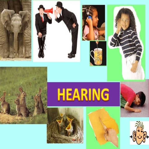 Hearing | PPTX