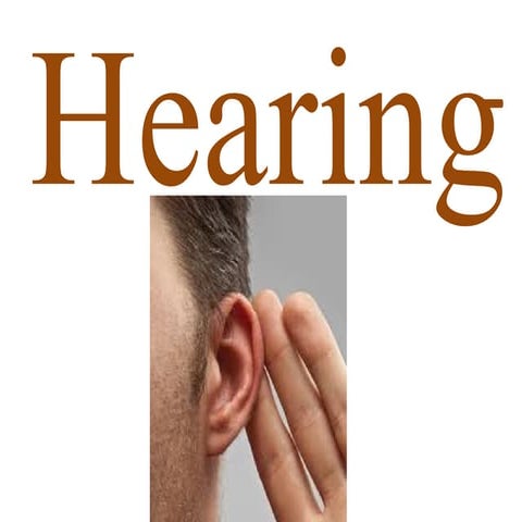Hearing | PPT | Ear, Nose and Throat Conditions | Diseases and Conditions