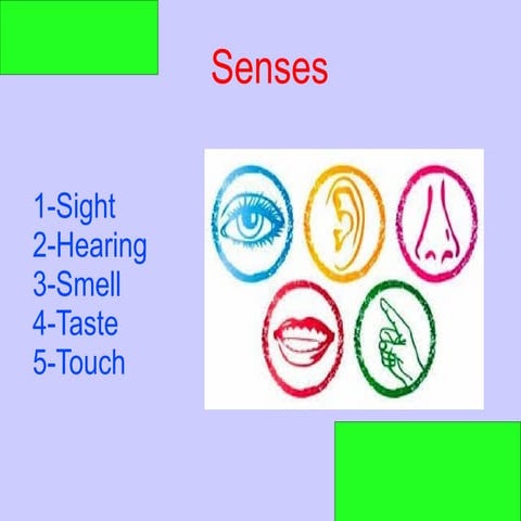 Sense of Hearing | ODP