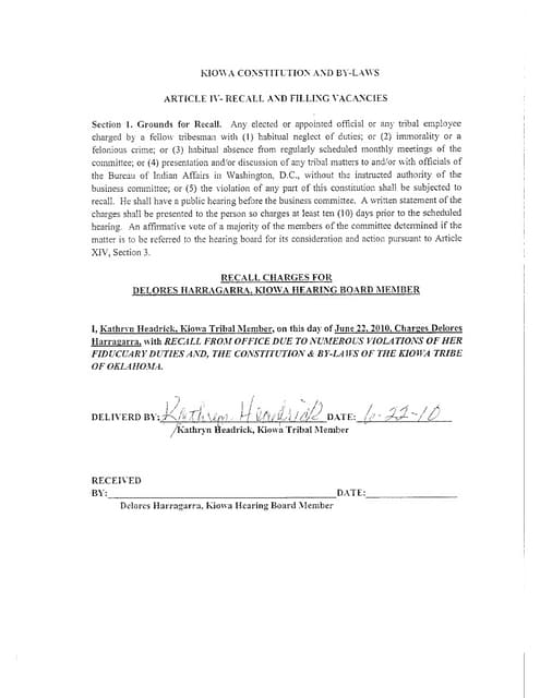 Revised Constitution Flowchart | PDF