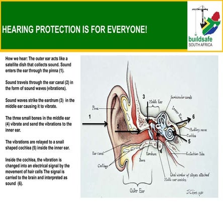 Hearing Loss Topic.pdf | Digital Audio | Computer Software and Applications