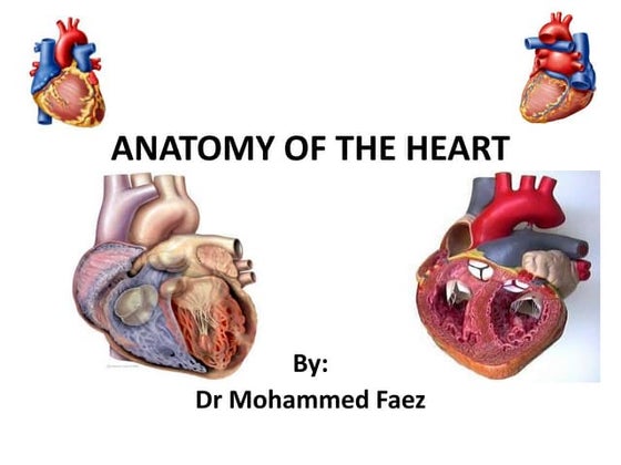 Right atrium of heart | PPT