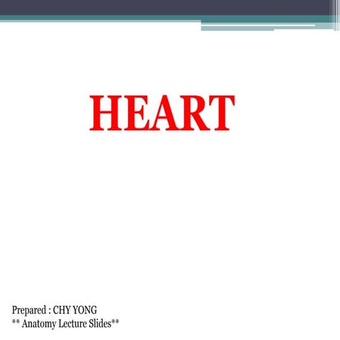Heart Anatomy | PPTX