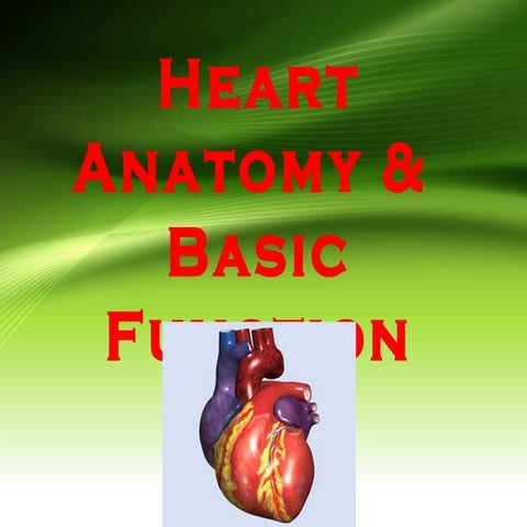 L2 the circulatory system | PPTX