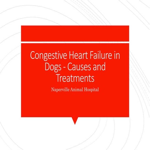 Congestive Heart Failure in Dogs - Causes and Treatments | PPTX